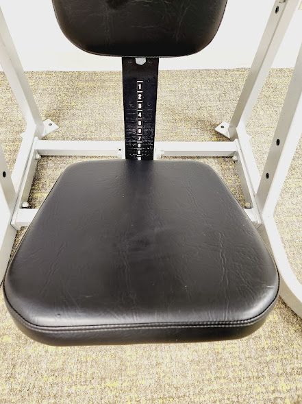 Hammer Strength Plate-Loaded Iso-Lateral Incline Press, ILIP - Atlanta ...